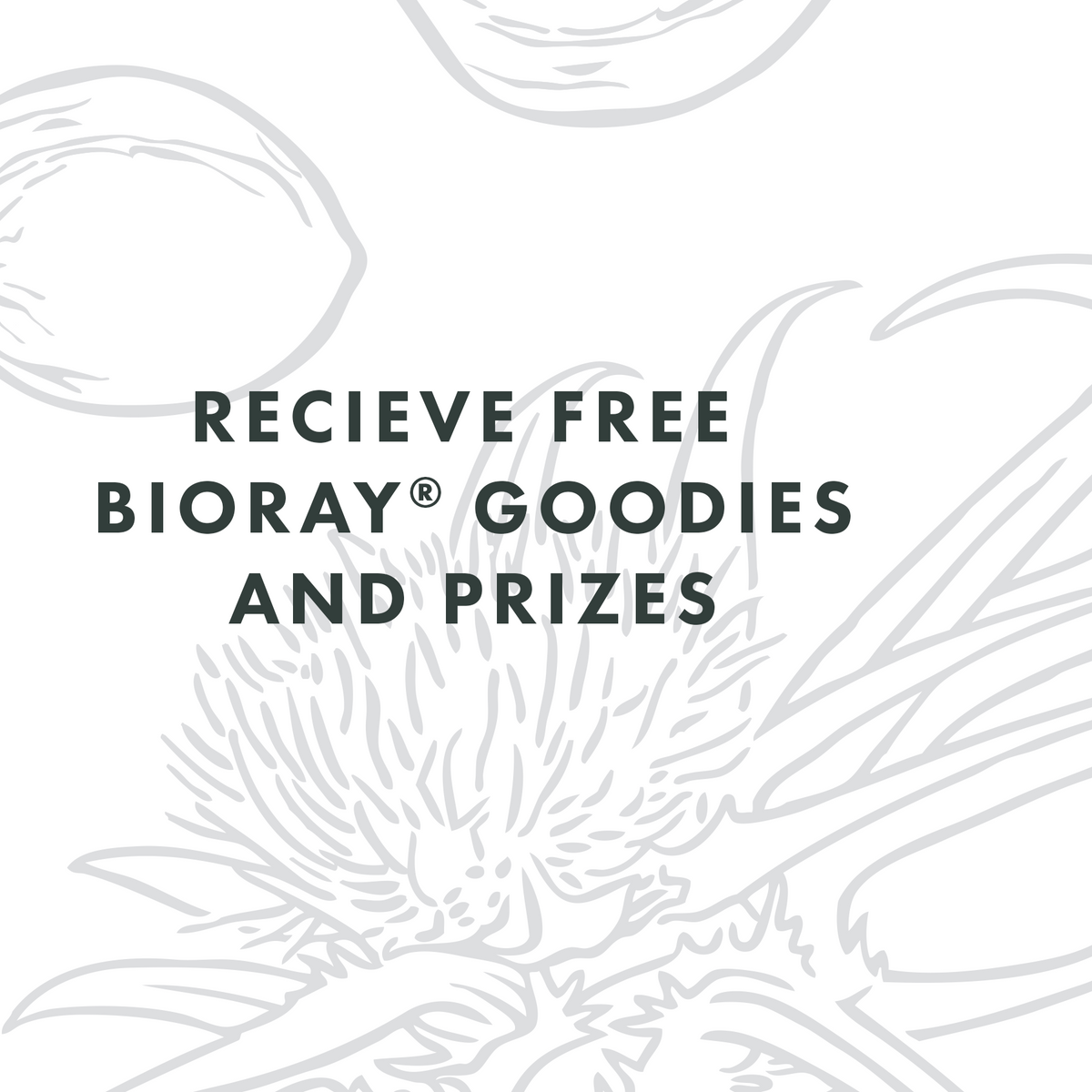 Affiliate – Bioray