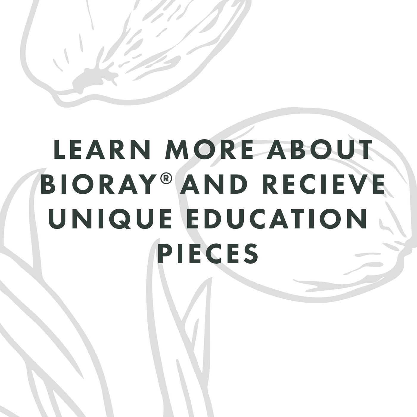 Affiliate – Bioray