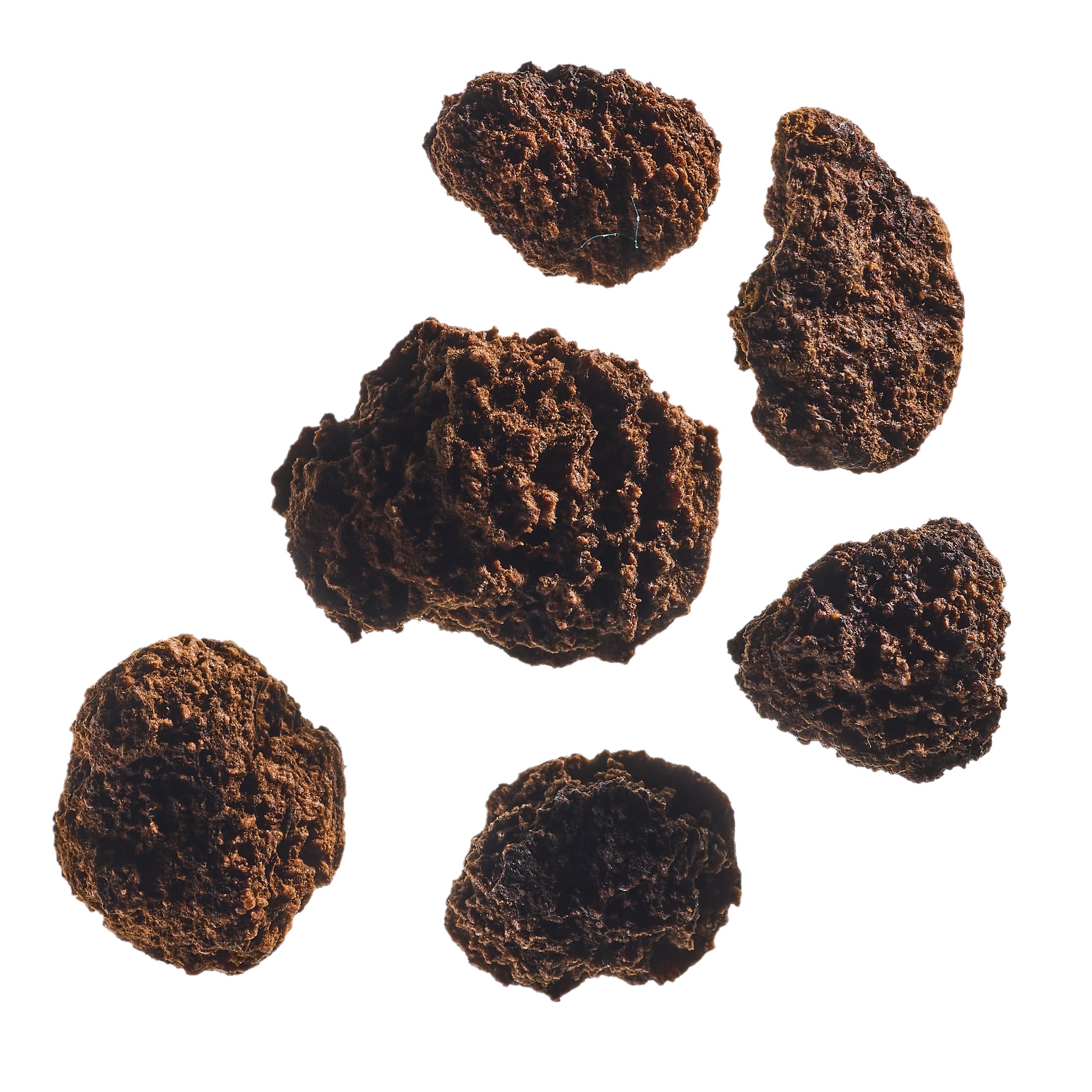 Life is Peachy® – Bioray