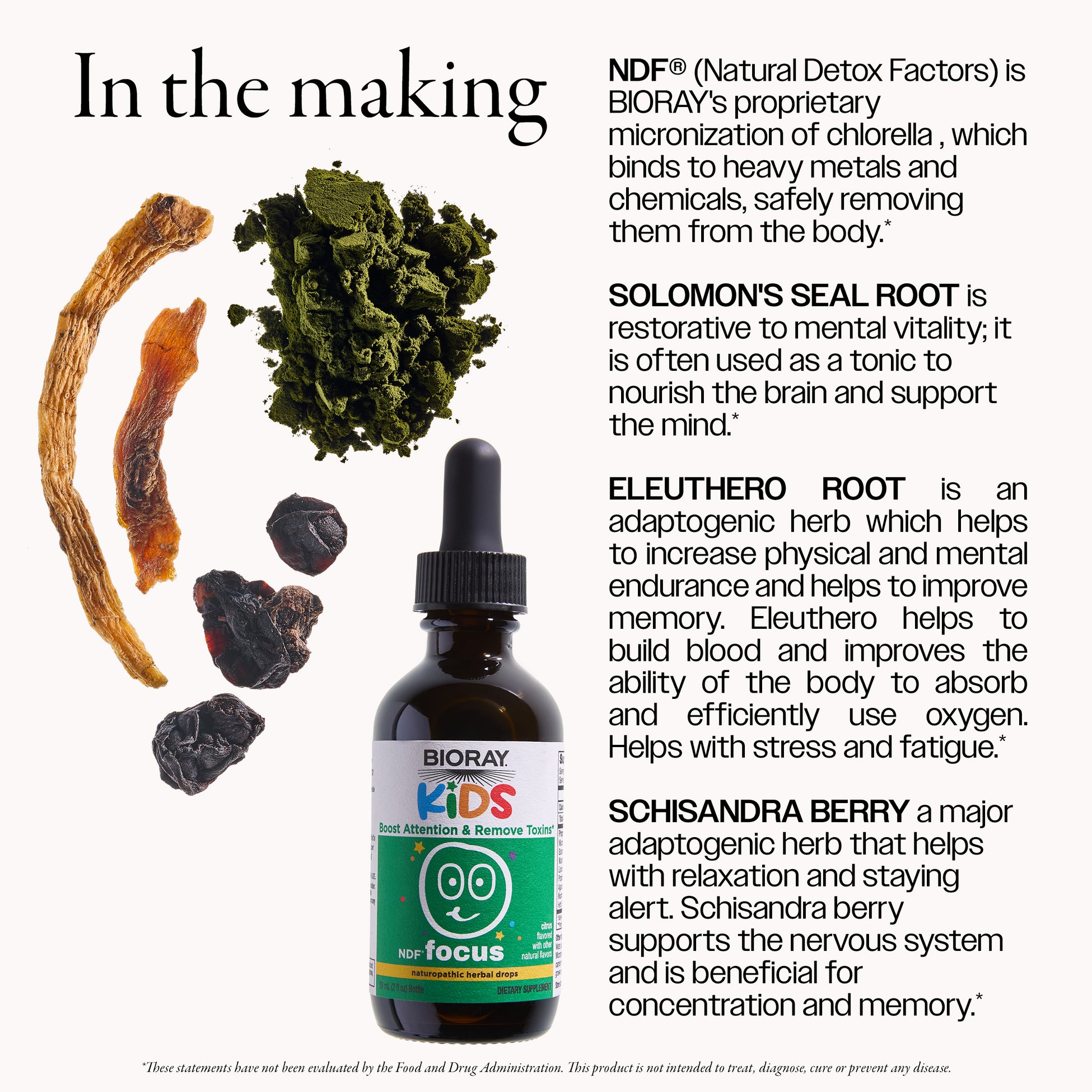 BIORAY® KIDS NDF Focus® – Bioray