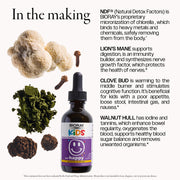 NDF Happy® – Bioray