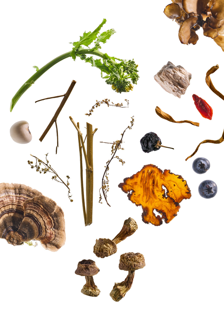 BIORAY® Difference – Bioray