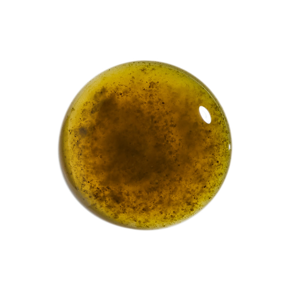 BIORAY® Products – Bioray