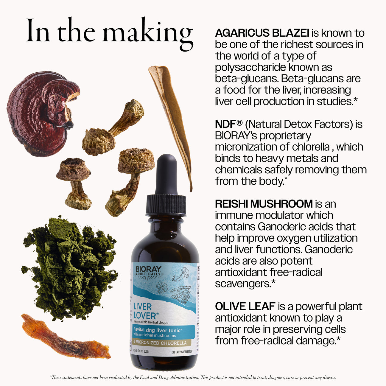 BIORAY® Liver Lover® – Bioray