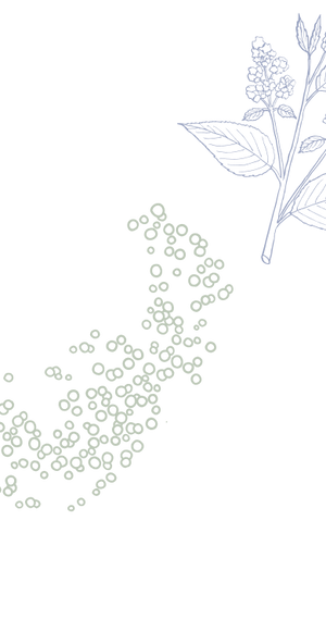 BIORAY® Clinical Page