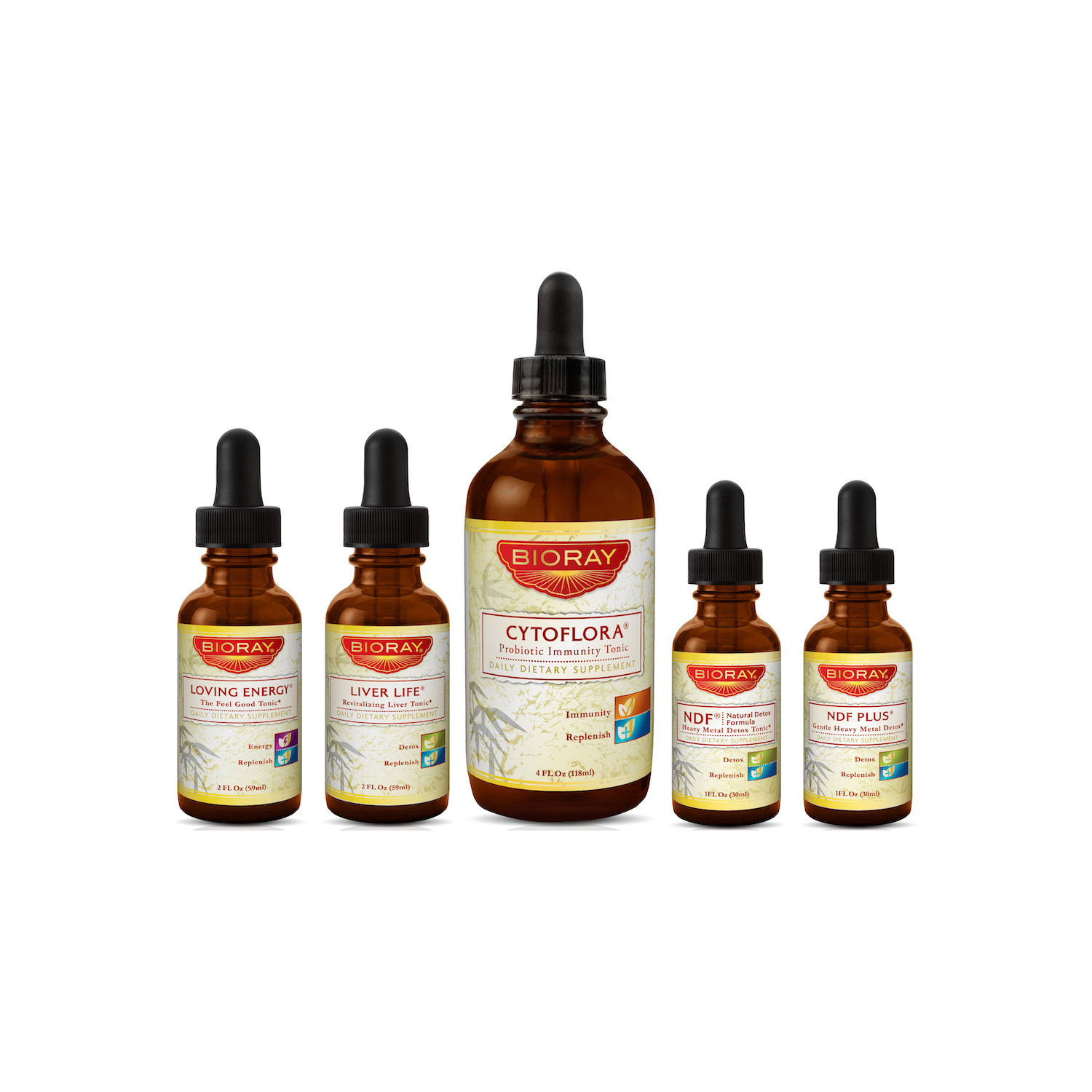 Heavy Metal Detox Kit® with CytoFlora® (Small) – Bioray